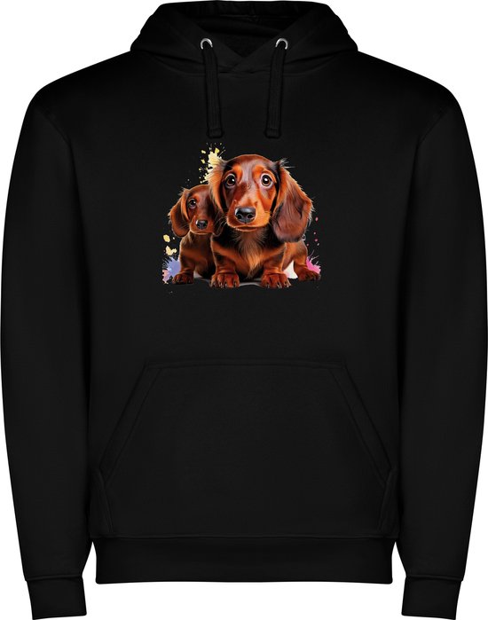 Zwarte unisex hoodie met “ Kleurrijke Teckel – Hond – Leuk – Eigenwijs ...