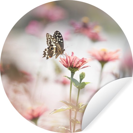 WallCircle - Muurstickers - Behangcirkel - Vlinder - Bloem - Roze - 100x100 cm -... | bol.com