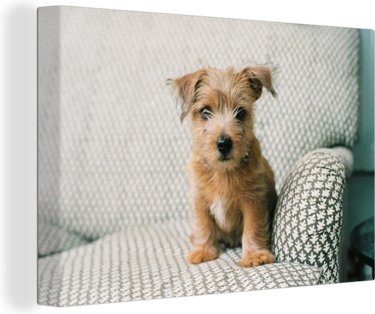 Canvas Schilderij Een puppy zit op de bank - 30x20 cm - Wanddecoratie | bol