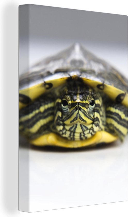 Canvas Schilderij Van dichtbij weergeven schildpad - 40x60 cm - Wanddecoratie | bol.com