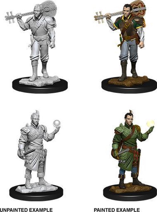 D&D Nolzur's Marvelous Miniatures Half-Elf Bard Male | bol