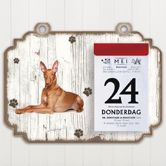 Scheurkalender 2022 Hond: Pharaohond | bol.com