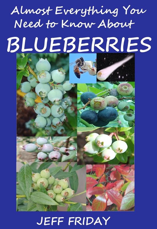 Almost Everything You Need to Know About Blueberries (ebook), Jeff Friday |... | bol