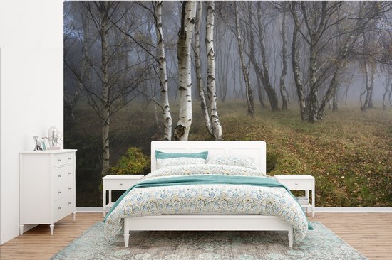 Behang - Fotobehang Ruwe berken in een bos - Breedte 385 cm x hoogte ...