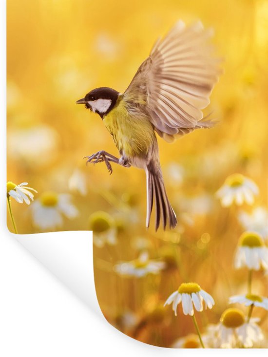 Muurstickers - Sticker Folie - Vogel - Koolmees - Bloemen - Margriet ...
