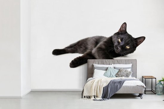 Behang - Fotobehang zwarte kat - Breedte 420 cm x hoogte 280 cm | bol