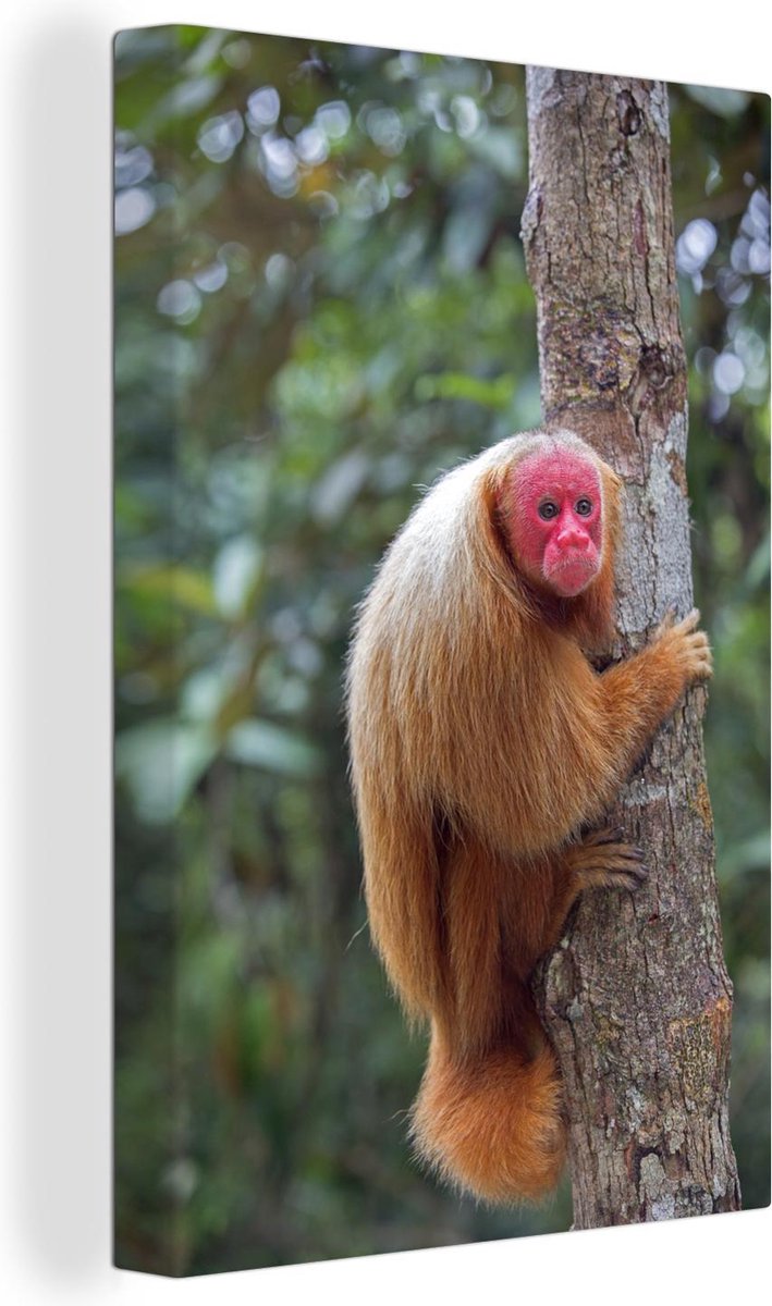 Toile de singe oeakari chauve sur tronc d'arbre 2cm | bol.com