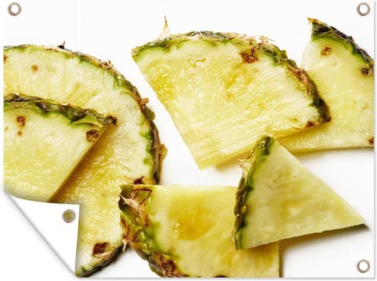 Ananas découpé en quartiers et cercles Affiche de jardin 160x120 cm ...
