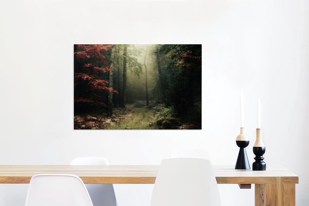 Canvas Schilderij Donker Bos - Bomen - Lichtinval - Natuur - Schilderijen op Canvas -... | bol.com