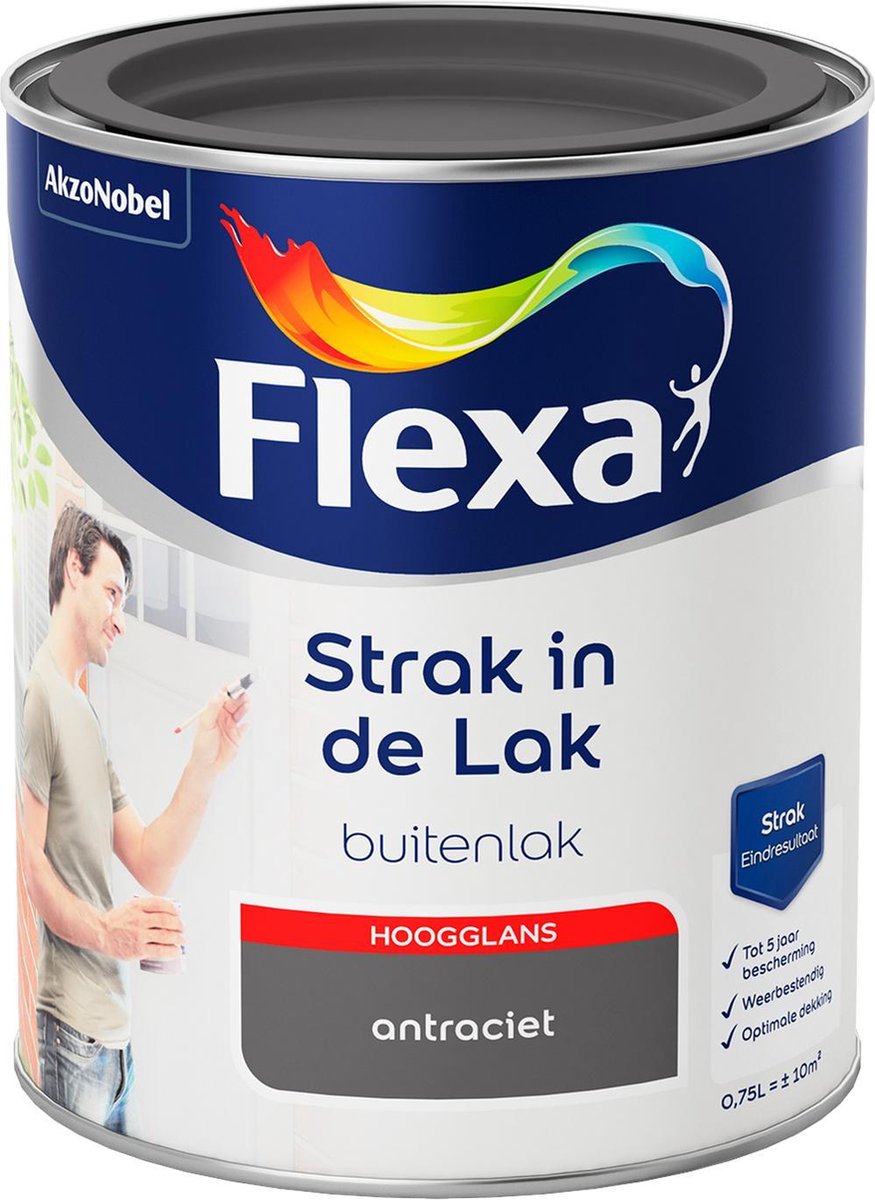 bol.com | Flexa Strak in de Lak Hoogglans - Buitenverf - Antraciet - 0 ...
