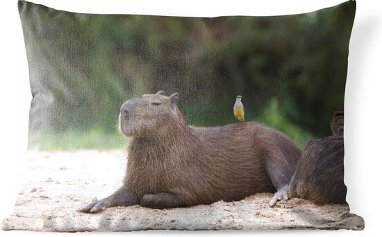 Sierkussen Capibara voor buiten - Een Capibara met een klein vogeltje ...