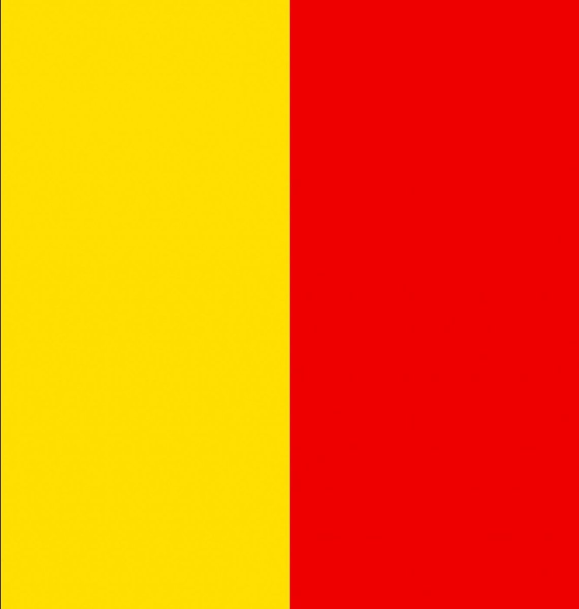 België Supportersvlag 60 X 90 Cm Polyester Zwart/geel/rood | bol.com