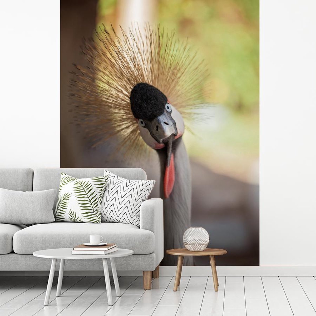 Behang - Fotobehang - Een grijze kroonkraan met een scheef hoofd ...