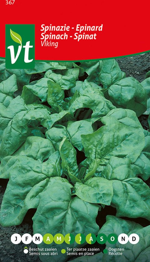 Veggie Essentials - Zelf Groenten Kweken: 5 Zakjes Groentezaden | bol