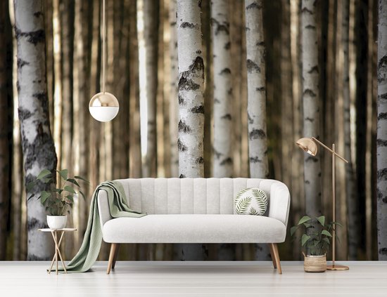 Fotobehang - Vlies Behang - Berkenbomen - Bomen - Bos - Berkenbos - 416 ...