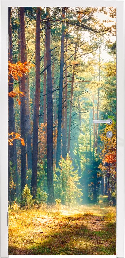 Deursticker Bos - Zon - Natuur - Herfst - 75x205 cm - Deurposter | bol.com