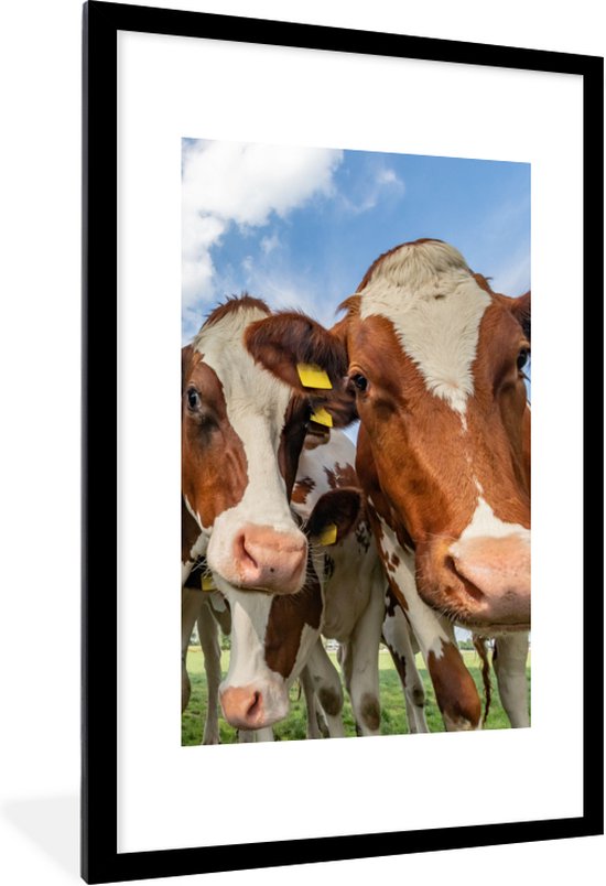 Cadre photo - Poster - Vaches - Vache - Animaux - Nature - Marron ...