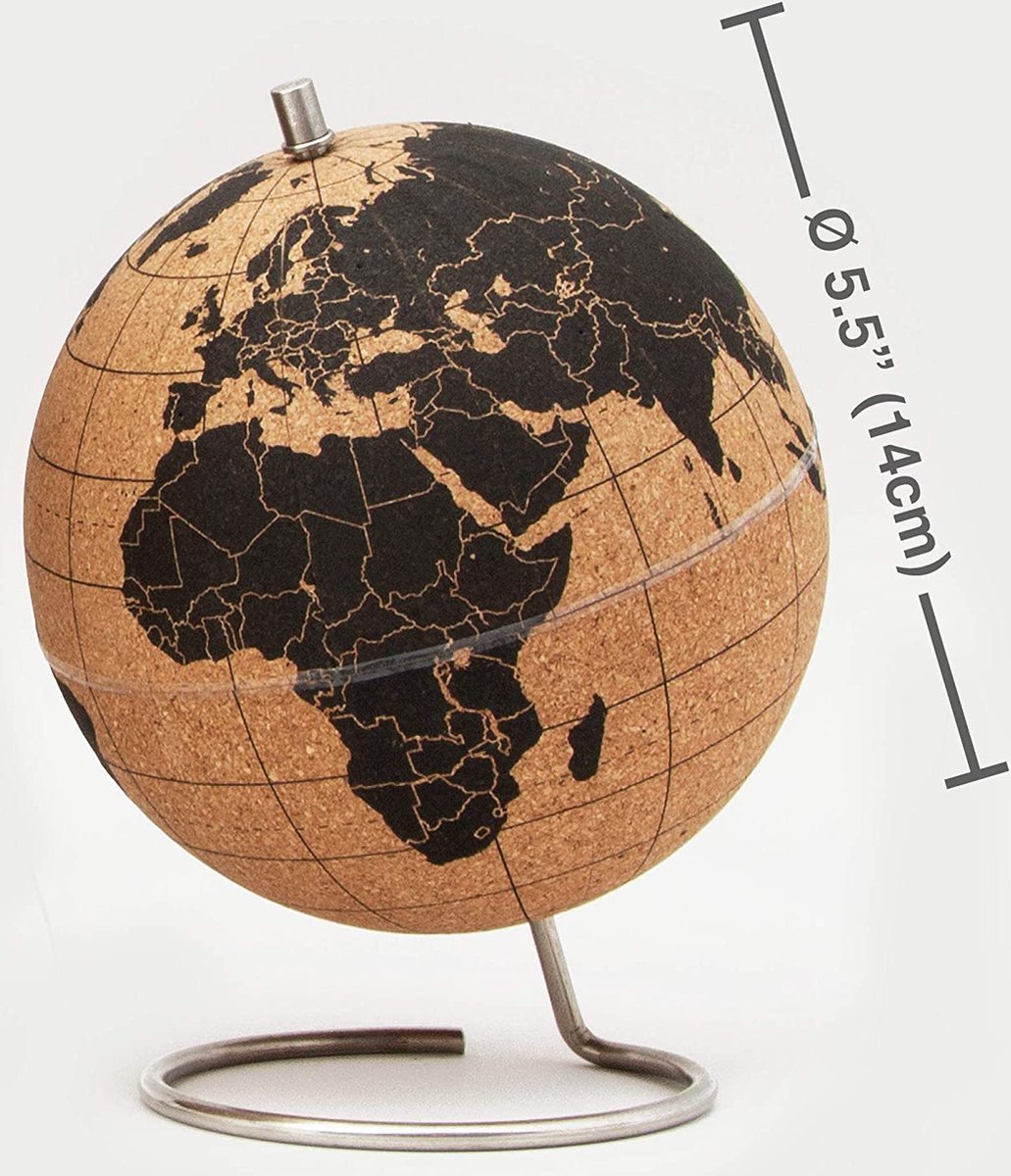 Wereldbol - Globe – Globus | bol.com