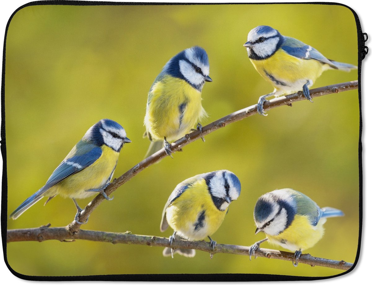 Laptophoes 17 inch - Vogel - Pimpelmees - Takken - Zon - Laptop sleeve ...