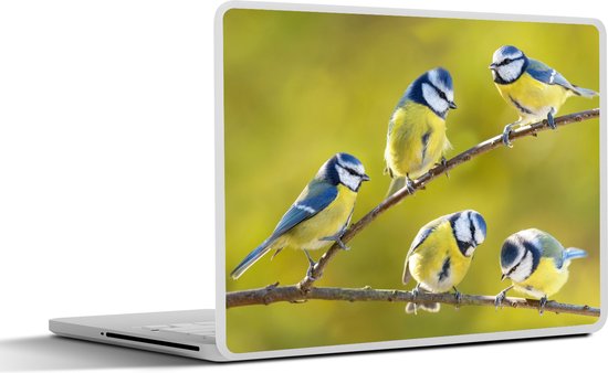 Laptop sticker - 14 inch - Vogel - Pimpelmees - Takken - Zon ...