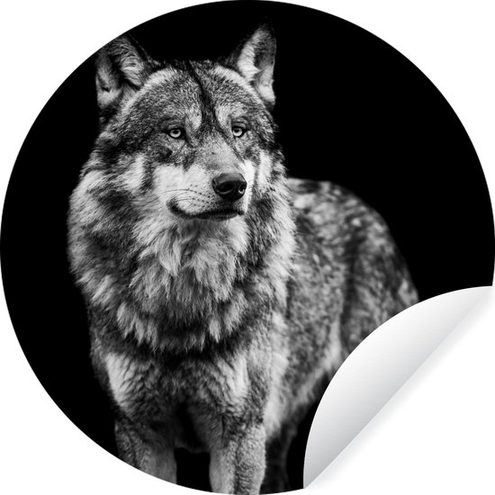 Behangcirkel - Zelfklevend behang - Wilde dieren - Wolf - Zwart-wit - 100x100 cm -... | bol