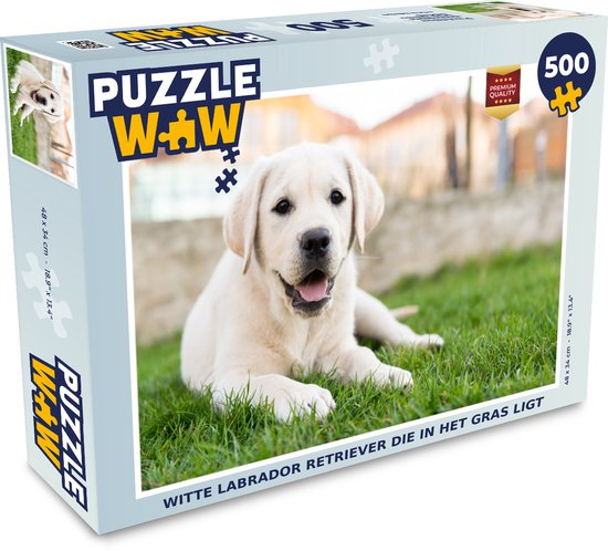 Puzzel Witte Labrador Retriever die in het gras ligt - Legpuzzel ...