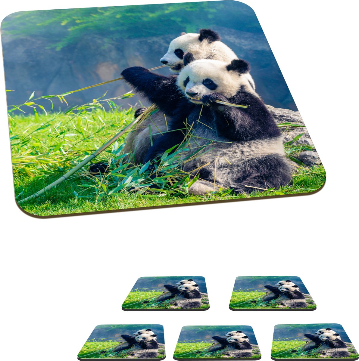 Onderzetters voor glazen - Panda - Bamboe - Gras - Dieren - 10x10 cm ...