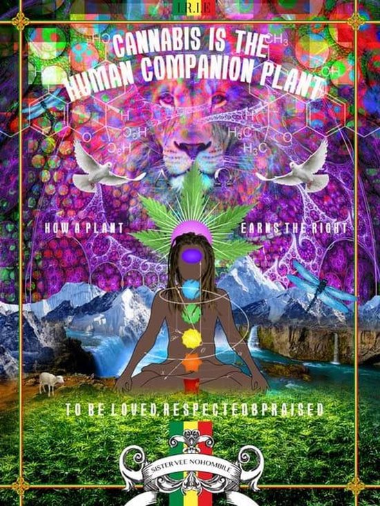 Cannabis is The Human Companion Plant (ebook), Sista Vee Nohombile ...
