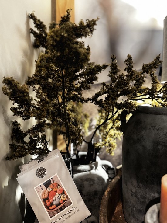 Decostar - Kunsttak - Zijdetak - Spirea - Groen | bol