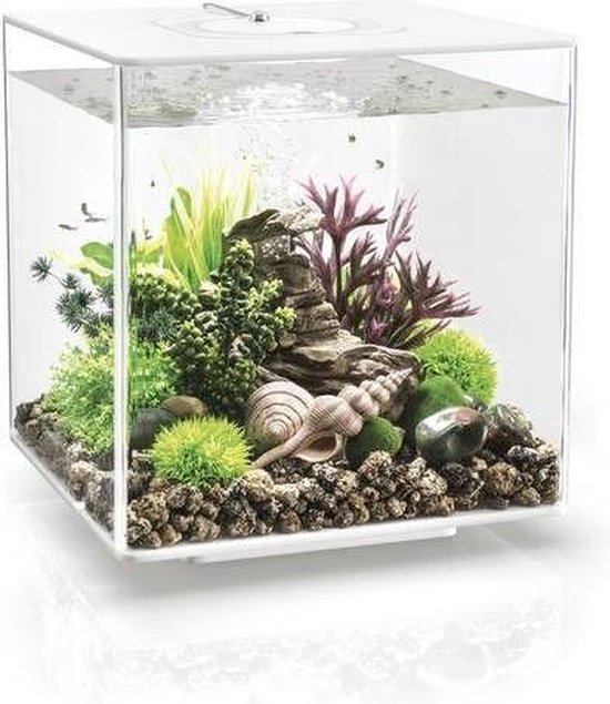 BiOrb Cube 30 MRC White | bol.com