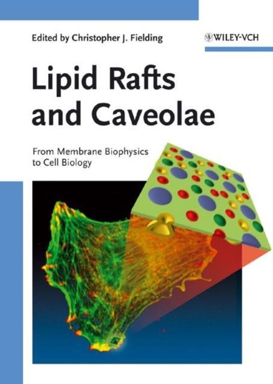 Lipid Rafts and Caveolae: From Membrane Biophysics to Cell Biology ...