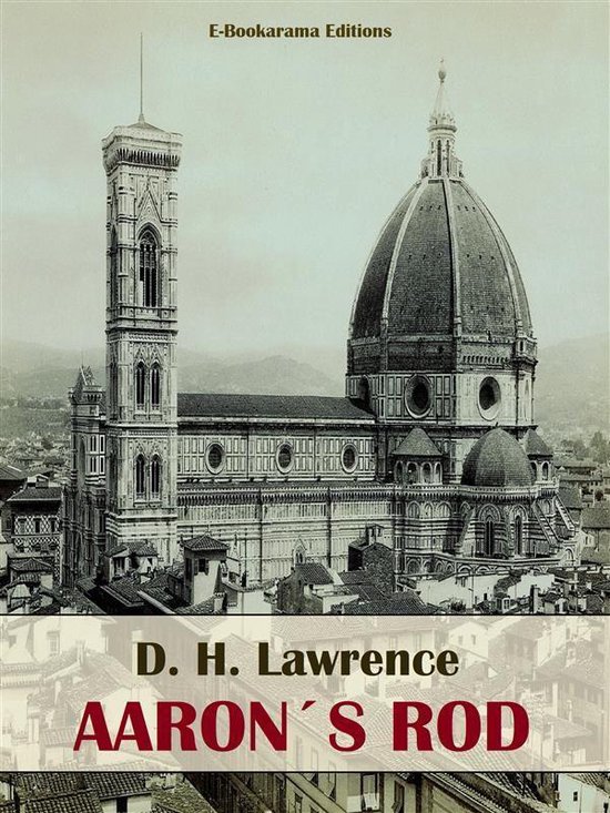 Aaron's Rod (ebook), D H Lawrence | 9788834192818 | Boeken | bol.com