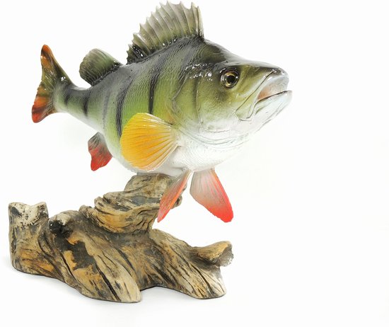 3D Real Fish Trophy Baars 30 cm Levensecht Beeld Baarsbeeld Trofee ...