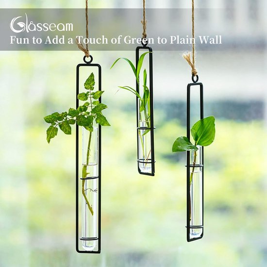Plant Propagation Station Wandvaas Set Van 6 Glazen Vazen Voor Bloemen ...