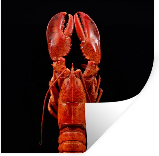 Muurstickers - Sticker Folie - Kreeft - Rood - Portret - 120x120 cm ...