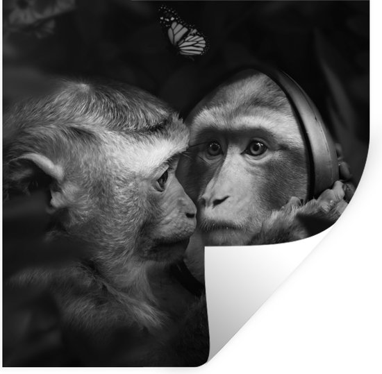 Muurstickers - Sticker Folie - Dieren - Apen - Natuur - Zwart - Wit ...