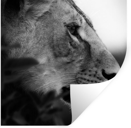 Muurstickers - Sticker Folie - Leeuw - Wilde dieren - Jungle - Zwart - Wit - 50x50 cm... | bol