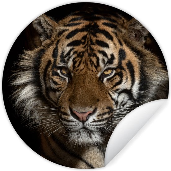 WallCircle - Muurstickers - Behangcirkel - Tijger - Wilde dieren - Portret - ⌀ 120 cm... | bol