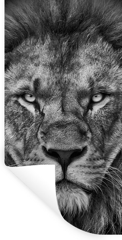 Muurstickers - Sticker Folie - Dieren - Leeuw - Zwart - Wit - Portret - 80x160 cm -... | bol