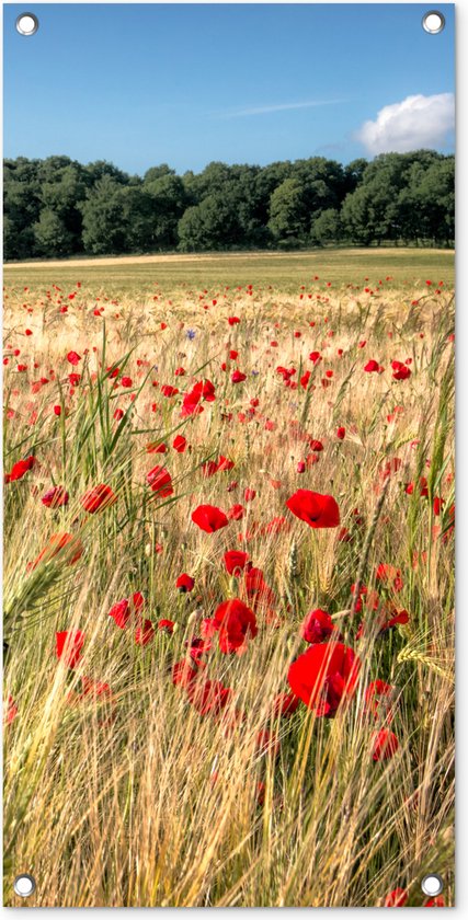 Tuinposter 40x80 cm - Tuindecoratie Wilde Klaprozen in een groot veld ...