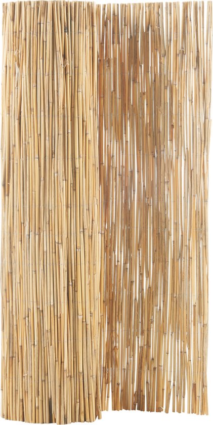 Rietmatten Abbateggio pryvacyscherm balkonscherm 160x300 cm | bol