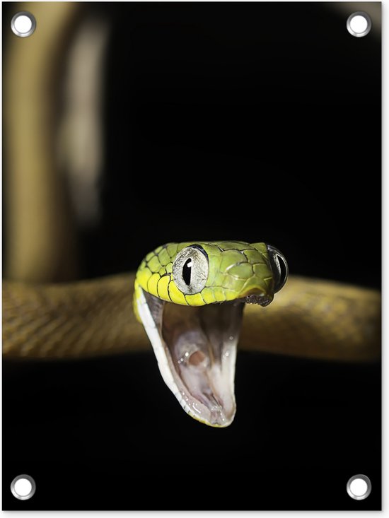 Tuin decoratie Slang - Dier - Zwart - 30x40 cm - Tuindoek ...