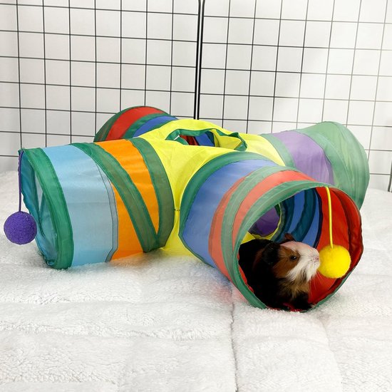 Opvouwbare 4-weg cavia-tunnel en huiden met 4 ballen - speelgoed voor ...