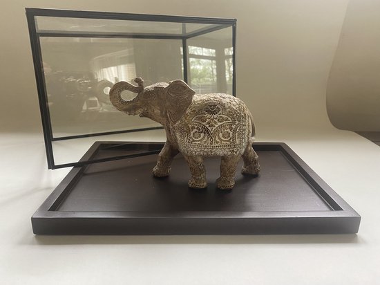 Glazen rechthoekige stolp - Display - Vitrine | bol