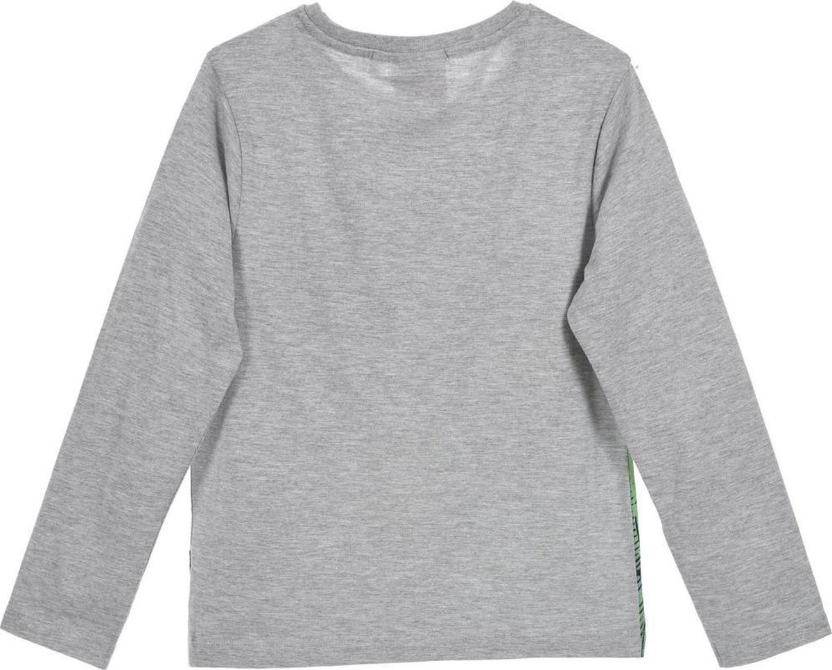 Marvel Avengers The Hulk sweater / trui maat 4 (104cm) | bol.com