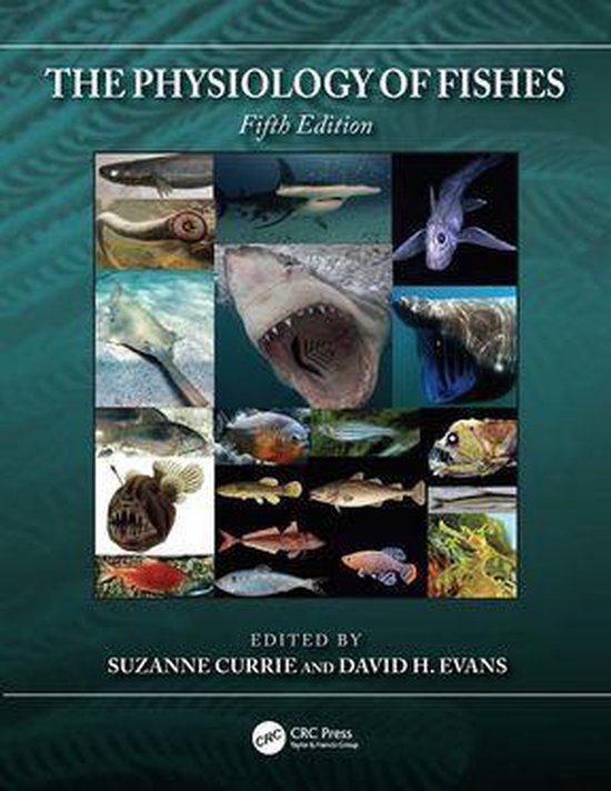 CRC Marine Biology Series - The Physiology of Fishes (ebook ...