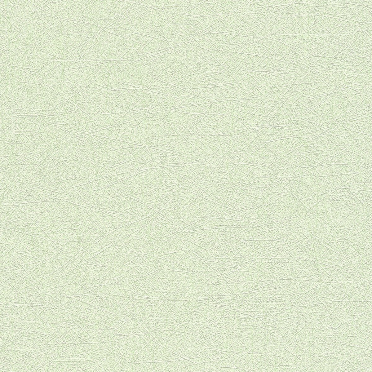 STRUCTUUR BEHANG | Basic Uni - groen - A.S. Création Profitex 2 | bol.com