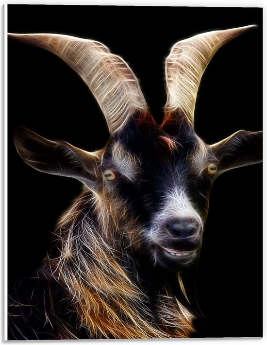 WallClassics - PVC Schuimplaat - Zwart met Bruine Geit met Horens tegen ...