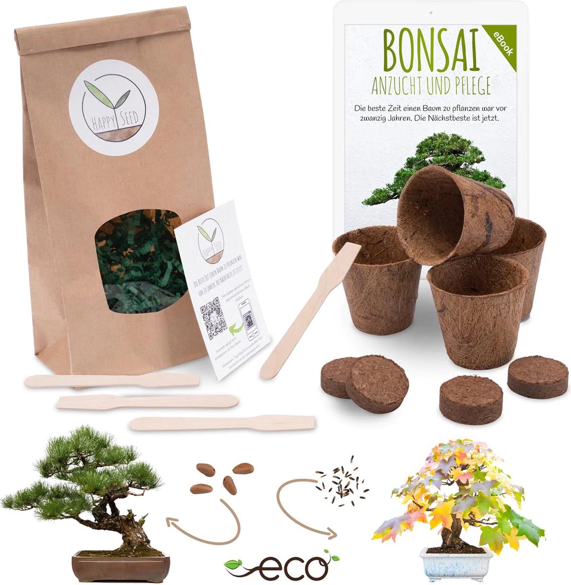 Happy Seed Bonsai starter kit - Mediterrane den en de Amerikaanse ...
