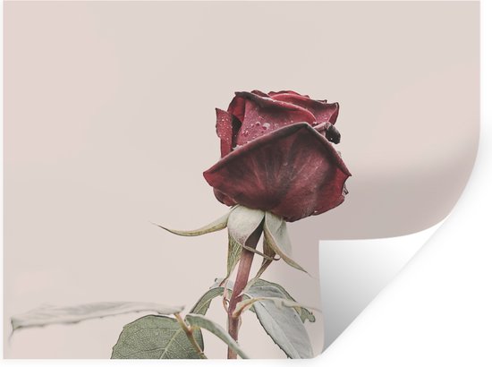 Muurstickers - Sticker Folie - Bloemen - Rood - Rozen - Groen - 160x120 ...